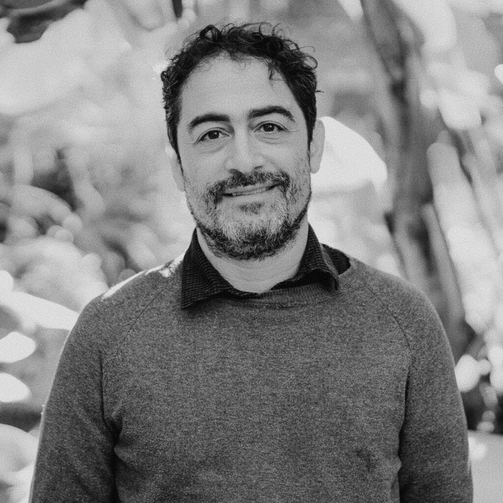 Daniel Maté - Where Olive Trees Weep